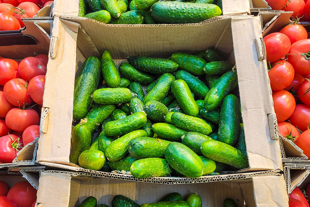 Стало известно, как появился популярный "ларек самообслуживания" из ...